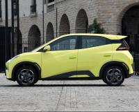 China 2023 BYD Seagull Fly Edition Pure Electric 4 Seats Hatchback 405km Range 55kW for sale