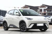 China BYD Seagull 2023 Free Edition Electric Hatchback 305km Range 55kW 5 Door 4 Seat for sale