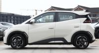 China BYD Seagull 2023 Free Edition Electric Hatchback 305km Range 55kW 5 Door 4 Seat for sale