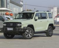 China 2023 Tank300 2.0T City Model Must Version Gasoline Compact SUV 227HP 387Nm for sale