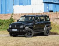 China 2023 Tank300 2.0T Off-road SUV 227HP 5 Door 5 Seats Gasoline 8AT for sale