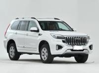 China Haval H9 2022 2.0T Gasoline 4WD 5-Seater SUV 165kW 385Nm Off-Road for sale