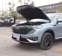 China Haval H6 2021 Third Generation 2.0T Auto 4WD Supreme Plus SUV Gasoline 211HP for sale