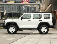 China 2023 Tank300 2.0T City Model Knight Version Compact SUV 5 Door 5 Seats 227HP for sale