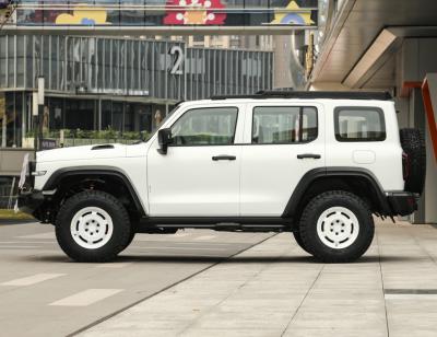 China 2023 Tank300 2.0T City Model Knight Version Compact SUV 5 Door 5 Seats 227HP for sale