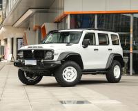 China 2023 Tank300 2.0T City Model Knight Version Compact SUV 5 Door 5 Seats 227HP for sale