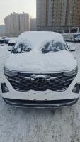 China Hyundai CUSTO 2023 Gasoline MPV 4950mm Length 3055mm Wheelbase Luxury Top Version for sale