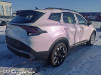 China 2023 Kia Sportage HEV 2.0T 4WD Compact SUV Gasoline 236HP 8-Speed AT for sale