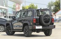 China Great Wall Motor WEY Tank300 2024 2.0T Challenger Compact SUV 227HP 387Nm for sale