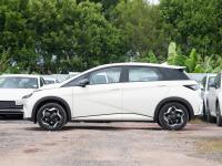 China BYD Dolphin 2025 Pure Electric 420km Range 5 Door Hatchback 70kW 180Nm Blade Battery for sale
