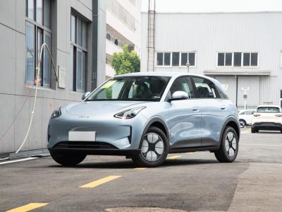 China Geely Galaxy Star Wish 2025 310km Youth Edition BEV Small Car 58kW 130Nm for sale
