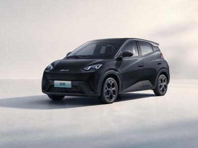 China BYD Seagull 2025 Pure Electric Compact Car 405km Range 55kW 5-Door 4-Seat Hatchback for sale