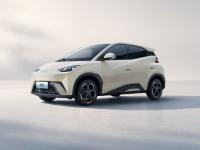China BYD Compact Electric Hatchback 405km Range 55kW 5-Door 4-Seat Pure EV for sale
