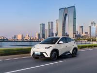 China BYD Seagull 2025 Pure Electric Compact Car 405km Range 55kW Motor 3780mm Length for sale
