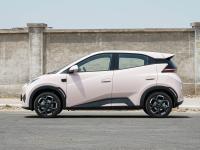 China BYD Seagull 2025 Compact Electric Car 405km Range Blade Battery L2 ADAS 5G Connected EV for Export for sale