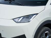 China BYD 2025 Compact Electric Hatchback 405km Range 135Nm Torque 4-Seat Pure EV for sale