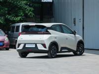 China BYD 2025 Compact Electric Hatchback 405km Range 135Nm Torque 4-Seat Pure EV for sale