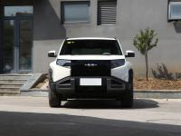 China 2025 Fang Cheng Bao Compact SUV 501km Pure Electric Range 310kW Dual Motor AWD B2B Export for sale