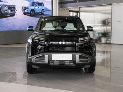China 2025 Fang Cheng Bao Compact SUV 501km Pure Electric Range 310kW Dual Motor AWD for sale
