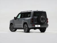 China Haval H9 2024 2.0T Petrol 4WD Extreme Edition 165kW 385Nm Off-Road SUV for sale