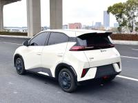 China BYD Seagull 2025 Smart Driving Edition 305km Range 55kW Electric Mini Car for sale