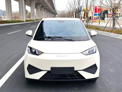 China BYD Seagull 2025 Smart Driving Edition 305km Range 55kW Electric Mini Car for sale