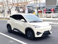 China BYD Seagull 2025 Smart Driving Edition 305km Range 55kW Electric Mini Car for sale