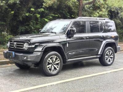 China Great Wall Tank 300 2.0T Urban Edition 2021 SUV 167kW 8AT Gasoline 4WD for sale