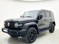 China GWM Tank 300 2.0T 4WD Off-Road SUV 2021 51000km Gasoline 8AT for sale