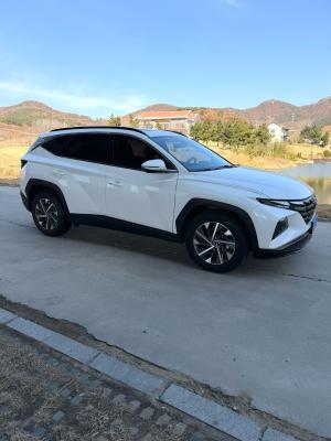 China Hyundai 2023 Tucson L 1.5T DLX Luxury Edition Automatic 2WD SUV 20000km for sale
