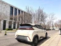 China BYD Dolphin Surf 2023 Dynamic Edition 305km CLTC Electric Compact City Car for sale