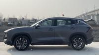 China 2023 Jetour Dasheng 1.6T for sale