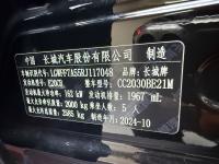 China Tank 300 2024 2.0T Conqueror 4WD SUV 23000km Black for sale