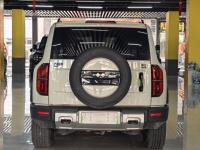 China Formula Leopard 5 2023 Navigator Edition 00156 Green 28000 km Electric SUV for sale