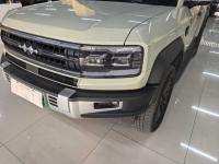 China Formula Leopard 5 2023 Navigator Edition 00156 Green 28000 km Electric SUV for sale