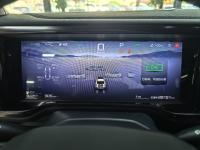 China Formula Leopard 5 2023 Navigator Edition 00156 Green 28000 km Electric SUV for sale