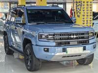 China Formula Leopard 5 2025 Ultra Edition 14000 km Blue Original Paint for sale