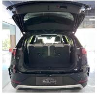 China BYD Tang DM-i 115km Smart Driving Edition 2025 New Energy SUV 7-Seater for sale