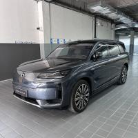 China 2025 Denza N9 2.0T VW 1300 Flagship Model for sale