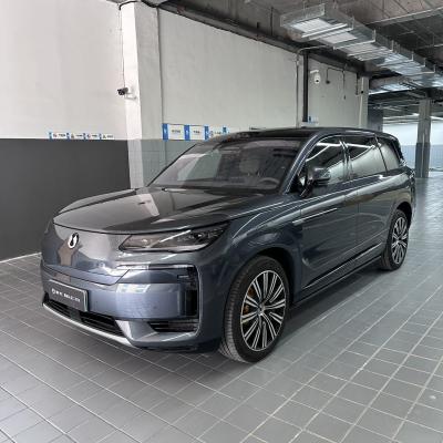 China 2025 Denza N9 2.0T VW 1300 Flagship Model for sale