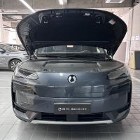China 2025 Denza N9 2.0T VW 1300 Flagship Model for sale
