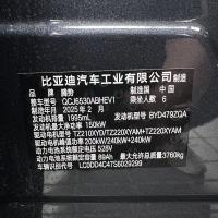 China 2025 Denza N9 2.0T VW 1300 Flagship Model for sale