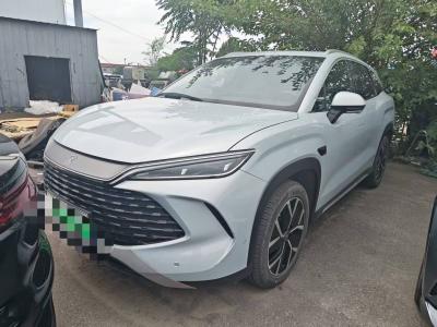 China Song LDmi Smart Driving 160 Beyond for sale