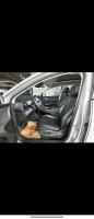 China 2025 Hiace 05 EV 520km Flagship Intelligent Navigation for sale