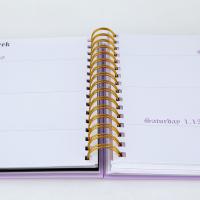 China Gold Foil Printing Spiral Notebook Planner with Dated Daily Layout in A4 A5 Sizes for Hardcover Planner Notebook for sale