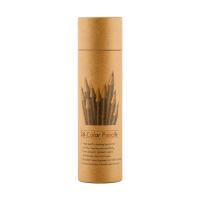 China Craft CMYK Custom Design Printed Gift Color Pencils Cardboard Kraft Round Paper Tube Cylinder Packaging Box for sale