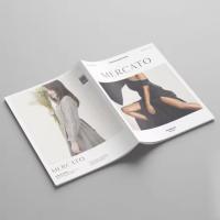 China Customized Paper & Paperboard Printing Services for Brochures Booklets Leaflets Instructions Books Magazines Publicity Materials for sale