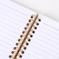 China Professional Printing Spiral Notebook Wholesale A5 Notebook for School Student for sale