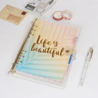 China A5 A6 clear PVC Binder with 6 Holes , clear PVC Planner Cover with Gold Binder for sale