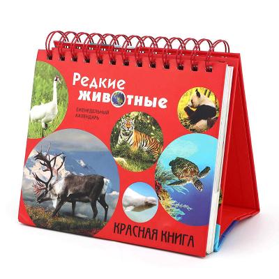 China Full Color Printing Custom logo Home Office Table Desk Calendar Weekly Monthly Memo Diary Stand Desktop Planner Paper Calendar for sale